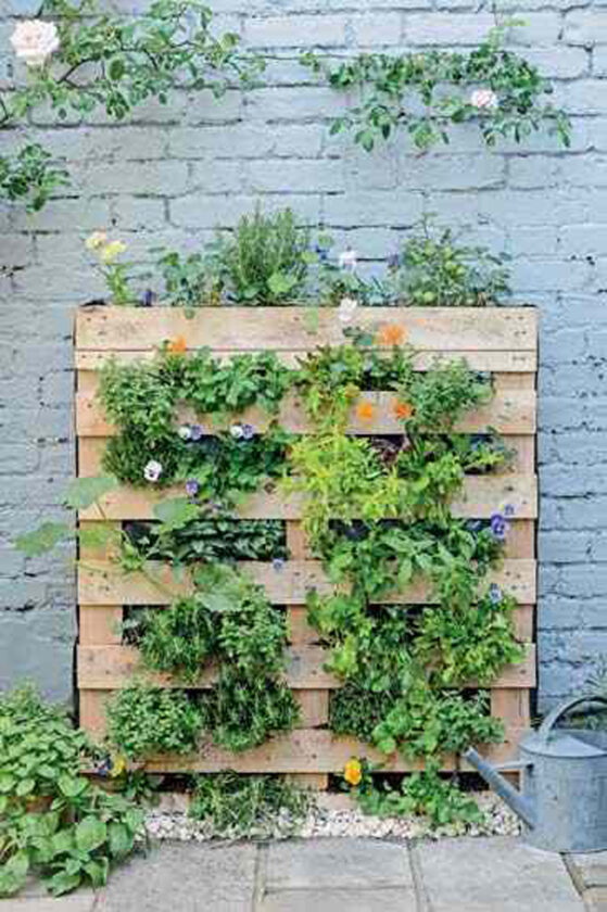 How to Make a Vertical Pallet Planter for a Vegetable and Herb Garden ...